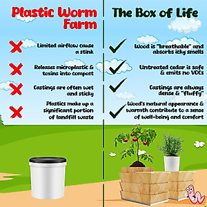 WWJD Worms The Box of Life Worm Wood Composter - Odorless Indoor Vermicomposting Bin - Worm Bins for Composting - Ideal Addition to Worm Composting Kit - Cedar Worm House (Planter Top)