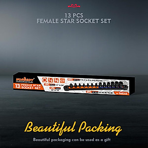 HORUSDY 13-Piece Female External Socket Set | Female E-Torx Sockets (E4-E20) | 2 Impact Socket Adapter Set