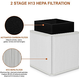 211+ Replacement Filter Compatible with Blueair Blue Pure 211+ Air Cleaner Purifier, H13 Hepa Foldable Filter and Activated Carbon Replacement Filter 2 Pack