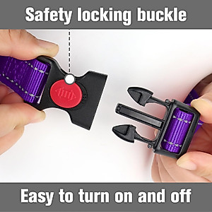 Joytale Martingale Collar for Dogs, Reflective Heavy Duty Dog Collar for Safety, Quick Release Buckle, Adjustable Nylon Collars for Medium Dogs Walking Training, Purple,M