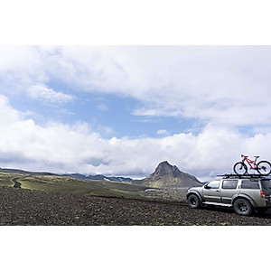 RockyMounts BrassKnuckles upright roof bike rack