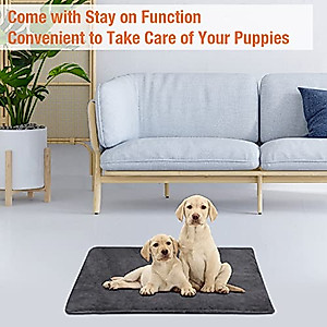 ENJOY PET Dog Heating Pad, Pet Heating Pad with 12 Level Timer and Temperature, Indoor Pet Heating Pads for Cats Dogs with Chew Resistant Cord, Long-Time Working Electric Pet Heated Mat