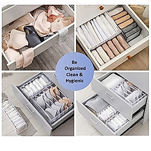 Fitster Wardrobe Clothes Organizer- 5 pieces 7 to 11 Grids- socks, Bra, Pants, Shirts, and Legging organizers (Gray)