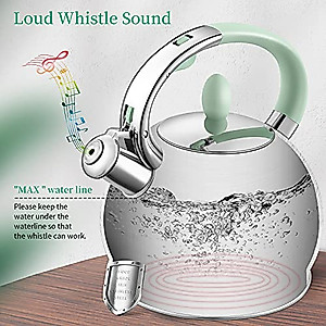 RETTBERG Tea Kettle for Stovetop Whistling Tea Kettles Retro Red Stainless Steel Teapots, 2.64 Quart (Mint Green)