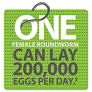 Bayer Animal Health Quad Dewormer for Large Dogs (Over 45 lbs) 2 Chewable Tablets