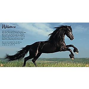 The Book of Horses: The ultimate guide to horses around the world