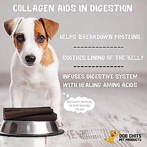 Dog Chits Beef Collagen Sticks for Dogs and Puppies | 12 Inch | Naturally Loaded w/Collagen | Amazing for Joints and Skin | Odor Free | All Natural | Long Lasting Chew | Grass Fed Beef | 6 Pack