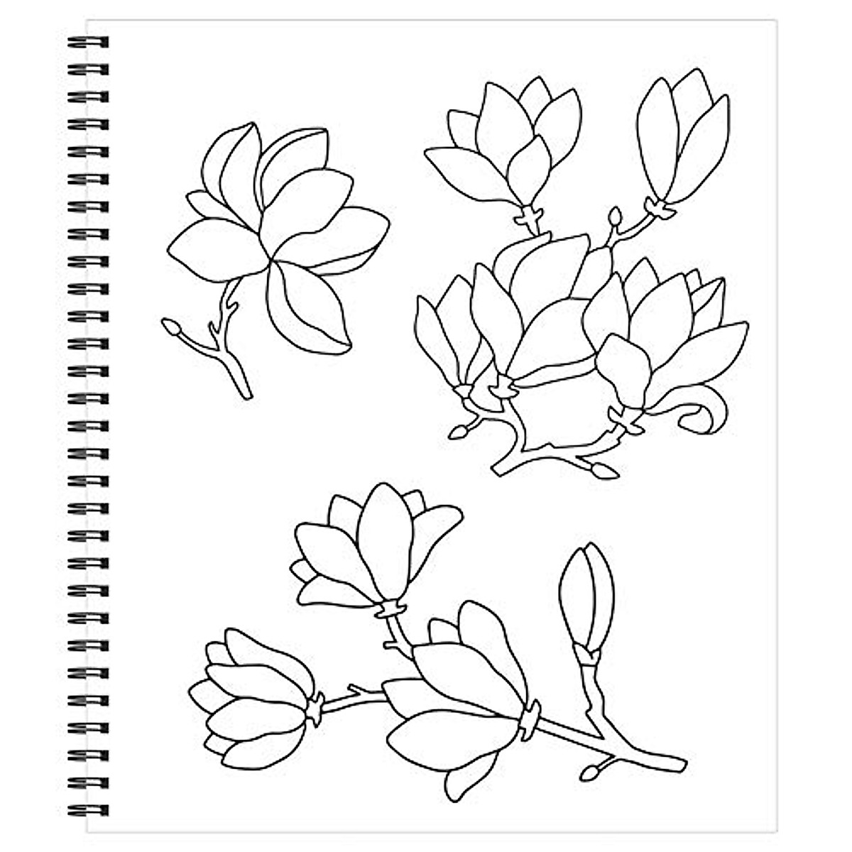 Large Print Easy Color & Frame - Calm (Stress Free Coloring Book)