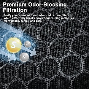 Vital 100S Replacement Filter Compatible with LEVOIT Vital 100S Air Purifier, 3-in-1 H13 Grade True HEPA and High-Efficiency Activated Carbon Filter for Vital 100S-P, Vital 100S-RF, White, 2 Pack