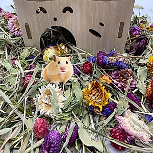 Tfwadmx Hamster Substrate Moss Natural Bedding Habitat Decor for Dwarf Syrian Hamsters Gerbils Mice Degus Bunny or Other Small Animal (Flower & Herb（A）(2PCS))