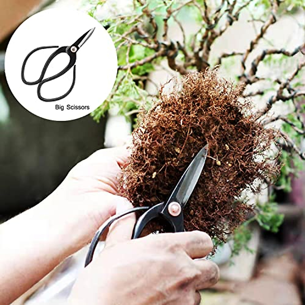 FANSTATE Bonsai Tree Kit, 24 PCs Bonsai Tools Set High Carbon Steel Succulent Trimming Tools Set Include Pruning Shears, Cutters, Training Wires, Bonsai Grooming Care Kit for Starter Gardening Gifts