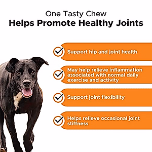 PetHonesty Turmeric Joint Health for Dogs - Hip & Joint Supplement Soft Chews | Omega-3 Fish Oil, Black Pepper, & Coconut to Support Joint Health, Ease Stiffness - Promotes Digestive & Immune Health