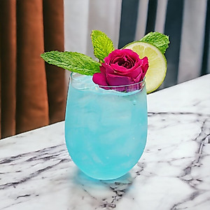 48 piece Stemless Unbreakable Crystal Clear Plastic Wine Glasses Set of 48 (10 Ounces)