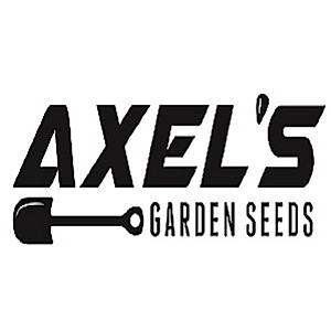 Radish Seeds for Planting | Heirloom & Non-GMO Vegetable Seeds | White Icicle Radish Seeds to Plant Home Outdoor Garden | Planting Packets Include Instructions