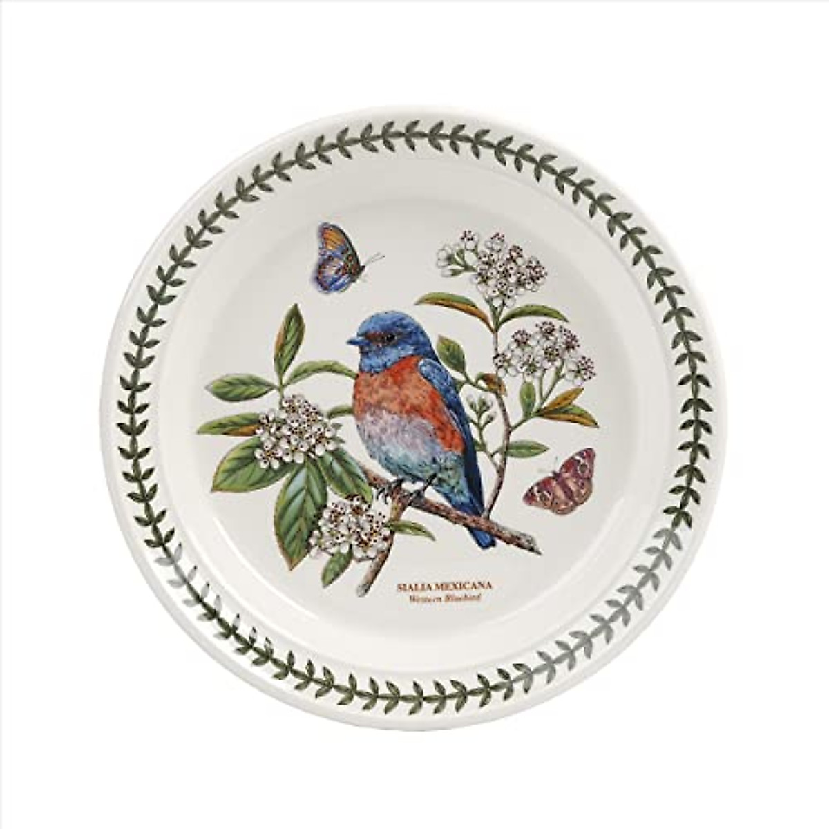 Portmeirion Botanic Garden Birds Collection Salad Plates | Set of 6 Plates 8.5 Inch with Assorted Bird Motifs | Made of Earthenware | Dishwasher and Microwave Safe | Made in England