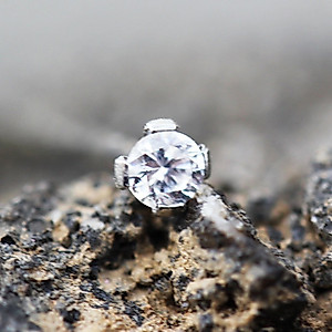 316L Stainless Steel Prong Set CZ Fishtail WildKlass Nose Ring (20GA 3/4")