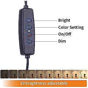 MINEGROW Book Light for Reading in Bed,Desk Light,Eye-Friendly and 3 Colors Desk Lamp with Clamp,Adjustable Goose Neck&Brightness,Desk Lamps for Home Office