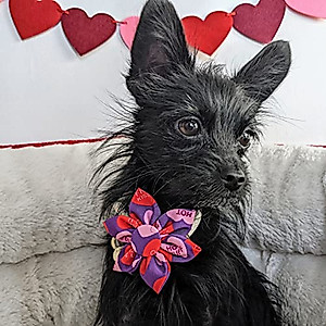 H&K Pet Pinwheel | Convo Hearts (Large) | Valentine's Day Velcro Collar Accessory for Dogs/Cats | Fun Pet Pinwheel Collar Attachment | Cute, Comfortable Pet Accessory