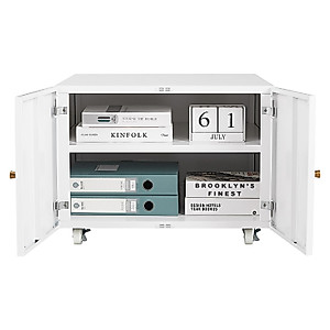 SQLIFE Office Copier File Cabinet, Mobile Lateral Filing Cabinet with 2 Door, Rolling File Cabinet, Printer Stand for Legal/Letter/A4 File