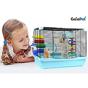 Hamster Cage | Dwarf Hamster Habitat with Exercise Wheel, Water Bottle & Accessories | 18" L x 12.5" W x 13.5" H by GalaPet
