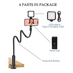 Phone Stand for Recording, 31 Inch Gooseneck Overhead Phone Mount with LED Light for Desk, 360° Rotation with Selfie Stands and Phone Holders for Video Recording, Live Streaming, YouTube Tiktok