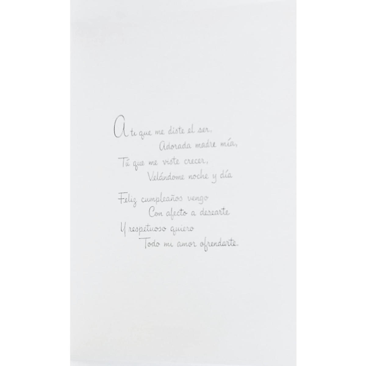 A Mi Adorada Madre En El Dia De Su Cumpleanos - Happy Birthday To Mom Greeting Card in Spanish Espanol