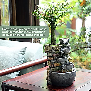 Haobos Indoor Fountain 4-Bowl Rockery Soothing Sound Tabletop Fountains Home/Office Decor with a Small Plastic Pot to Grow The Plant by Yourself(Automatic Watering)(22023)