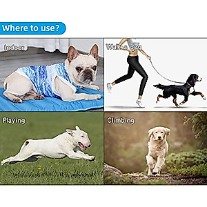 Hotumn Dog Cooling Vest Instant Cooling Dog Clothes Breathable Walking Dog Costume Dog Shirts Summer Tank Top Ice Vest for Small Dogs Cats Walking Exercise Hiking