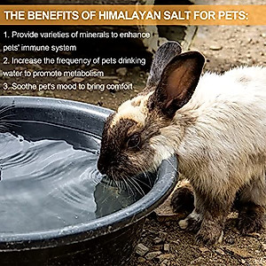 4 Pack Himalayan Small Pets Lick Salt Block on Rope- Natural Small Animal Mineral Salt Chew Toys with Rope, Small Pet Chew Treat Supplies for Guinea Pig Rabbits Bunny Ferrets