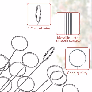 Floral Card Holder Picks,Flower Card Holder Stick Metal Flower Picks,Picture Holders for Centerpiece 40pcs for Wedding Party Bouquet,Birthday Photo Arrangement Round Silver