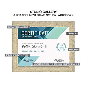 MCS Studio Gallery Document Frame, Certificate Frame Fits 8.5 x 11 Diplomas, Documents & Certificates, Natural Woodgrain, Single