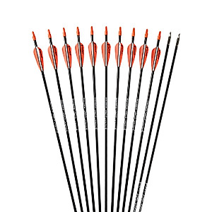 PANDARUS Archery 28" Fiberglass Archery Target Practice Arrows, for Children, woman or Beginner, for Recuve Bow(Pack of 12) …