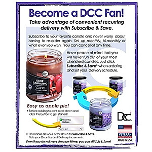 Vanilla Bean Odor Eliminating Highly Fragranced Candle - Eliminates 95% of Pet, Smoke, Food, and Other Smells Quickly - Up to 80 Hour Burn time - 12 Ounce Premium Soy Blend