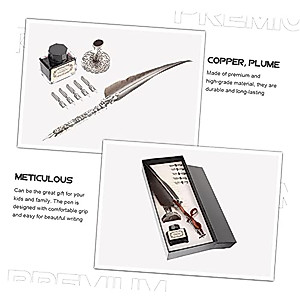 NUOBESTY 3 Sets Dip Pen Retro Decor The Office Gifts Crystal Set Signature Calligraphy Pen Reusable Calligraphy Pen Writing Dip Pens Ink Pen for Birthday Reusable Ink Pen Quill and Ink Grey