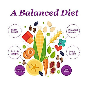 Tropical Carnival F.M. Brown's Gourmet Pet Mouse and Rat Food with Fruits - Veggies, Seeds, and Grains, Vitamin-Nutrient Fortified Daily Diet - 2lb