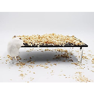 Small Animals Stand Platform, Hamster Play Platform, Acrylic Rats Stand Platform Toys, Cage Accessories for Hamsters Rats Chinchillas Sugar Glider Guinea Pig Bird(11×5.9×2.8 Inches)