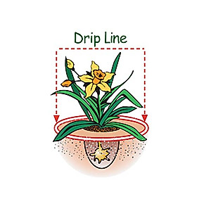 Espoma Organic Garden-Tone 3-4-4 Organic Fertilizer for Cool & Warm Season Vegetables and Herbs. Grow an Abundant Harvest of Nutritious and Flavorful Vegetables – 4 lb. Bag