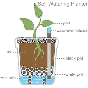 yarlung 6 Pack Self Watering Planter with Water Level Indicator, 5 Inch Plastic Plant Flower Pots Nested Container for Indoor Plants, Herbs, Aloe, Outdoor Gardening