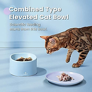 Pawaii Ceramic Cat Bowl, Combined Type Elevated Cat Bowl, Whisker Fatigue Cat Bowl, Dishwasher and Microwave Safe, One Elevated Cat Bowl and One Dish