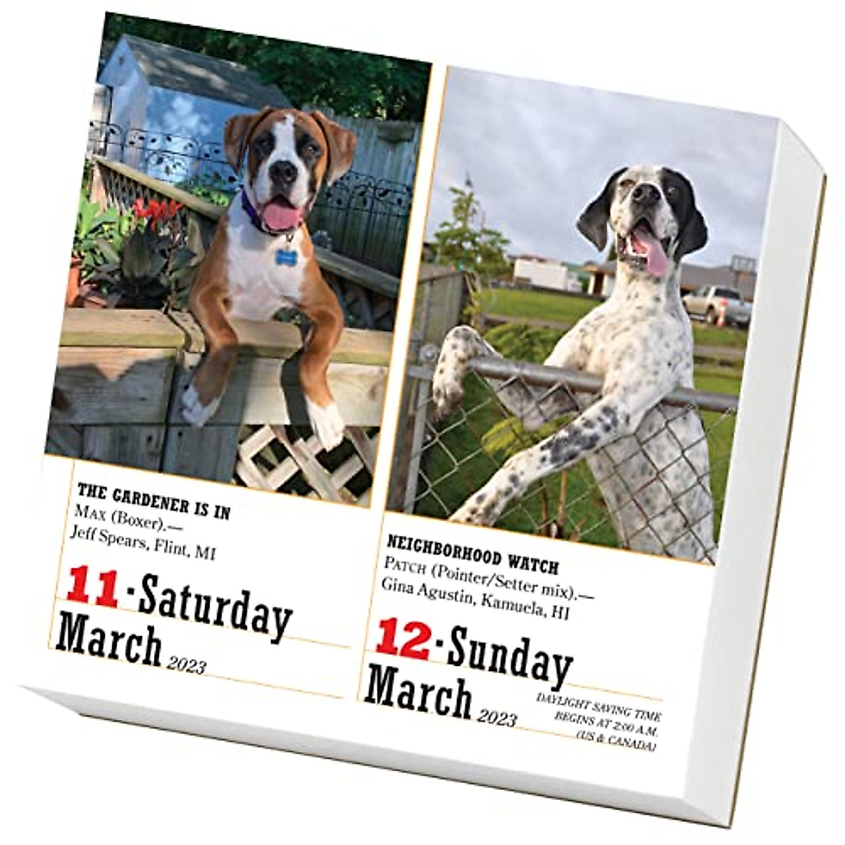 365 Dogs Page-A-Day Calendar 2023: The World's Favorite Dog Calendar