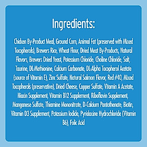 Temptations Cat Treats Temptations Huge Variety Pack, All 9 Flavors: Chicken, Medley, Turkey, Tuna, Catnip Fever, Beef, Surfer, Cookout 1 Pet Paws Notepad (9 Bags Total, 3 Ounces Each), 10 Piece Set