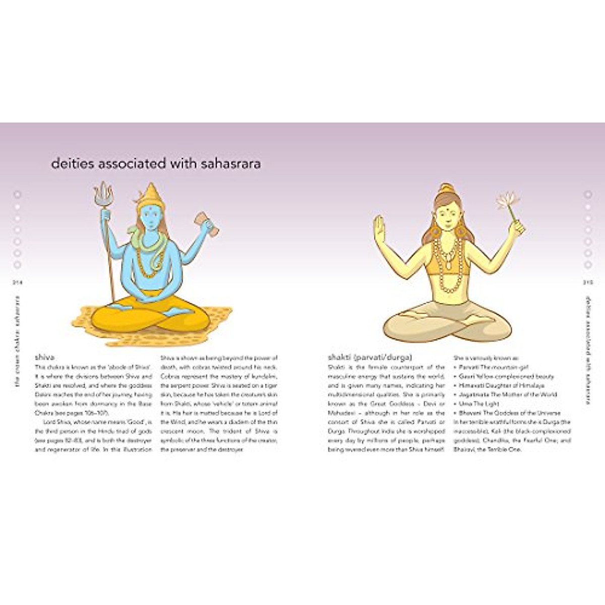 The Chakra Bible: The Definitive Guide to Working with Chakras (Volume 11) (Mind Body Spirit Bibles)