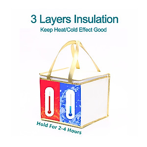 13.8×13.8×15.8 Reusable Insulated Zipper Aluminum Foil Tote Bag Suit for Picnic Cake Fruit Drink Refrigeration Also for Delivery of Takeaway Thermal Pizza Insulated Delivery(2Pack White)