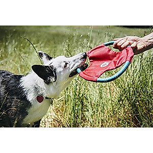 ZippyPaws - Rope Gliderz Durable Outdoor Dog Toy Flying Disc - Magenta