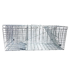Large Collapsible Humane Live Animal Cage Trap No-Kill Trapping Kit for Humane Catch Release Rabbits, Stray Cat, Squirrel, Raccoon, Other Fit Sized Animals, Heavy Duty, 2-Door -31" x 11.5" x 12.5"