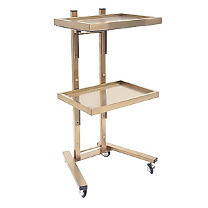 Xuthusman 2-Tier Foldable Tray Trolley Salon 4-Wheel Rolling Cart Utility Storage Shelves Holder with Service Tray Stainless Steel (Gold)