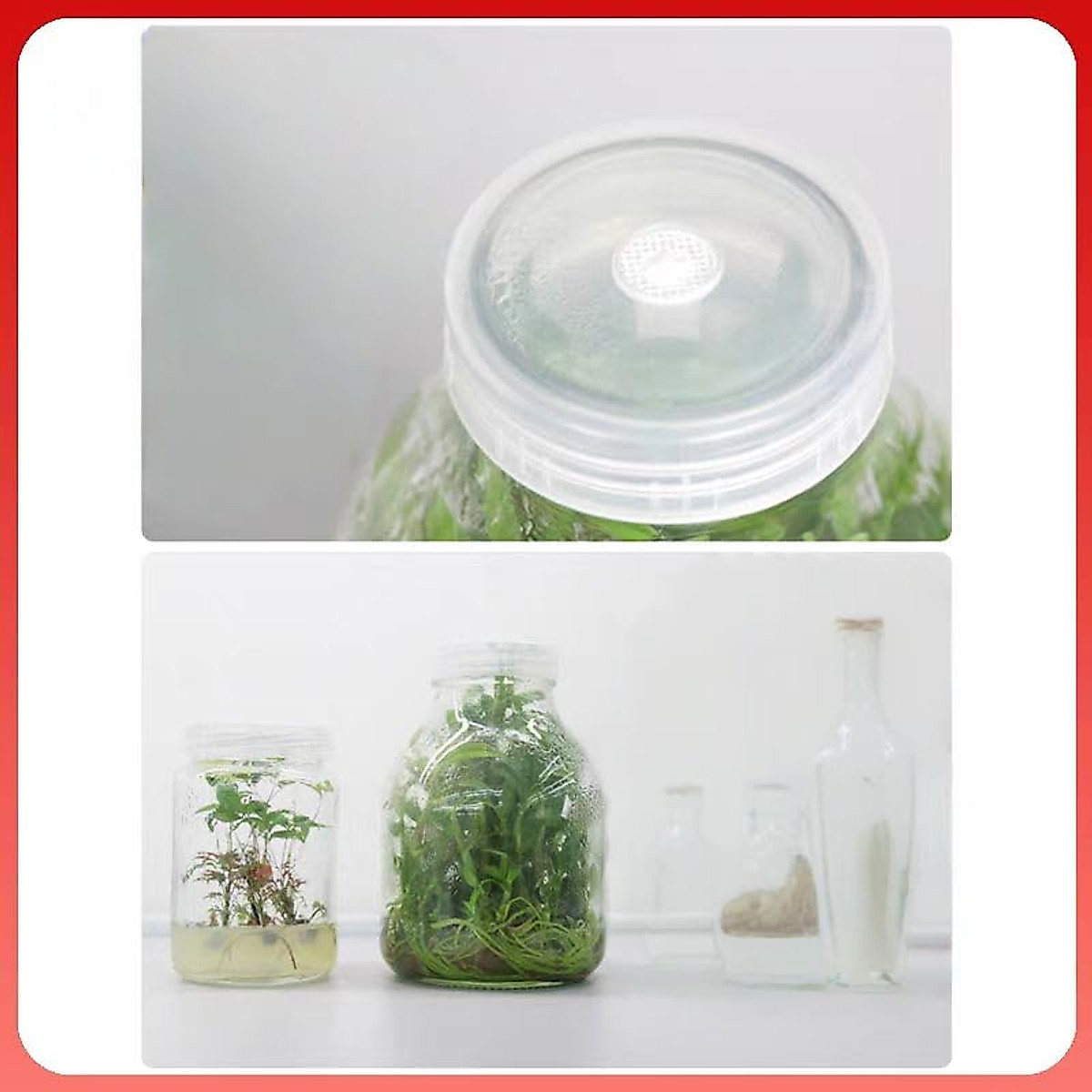 Synthetic Filter PaperStickers, 20 mm, 0.3 μm, Monotub Filter, Filter Discs Mycology - MonotubMushroom Fruiting Chamber Synthetic Filter Disc (30)