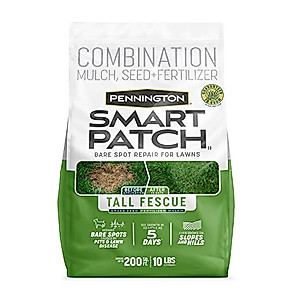 Pennington Smart Patch Tall Fescue Mix 10 lb
