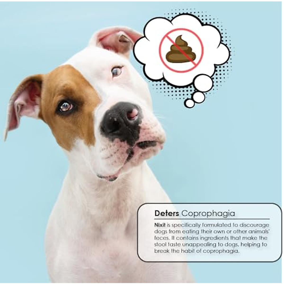 Nixit Stool-Eating Preventative for Dogs - Vitamin B Supplement - Chicken Liver and Natural Fish Flavored Powder - 10.5 oz