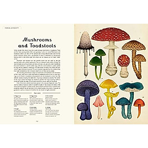 Fungarium: Welcome to the Museum